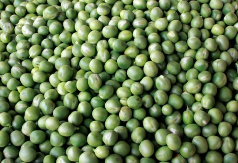 Arveja Verde | FOOTARG EUROPE